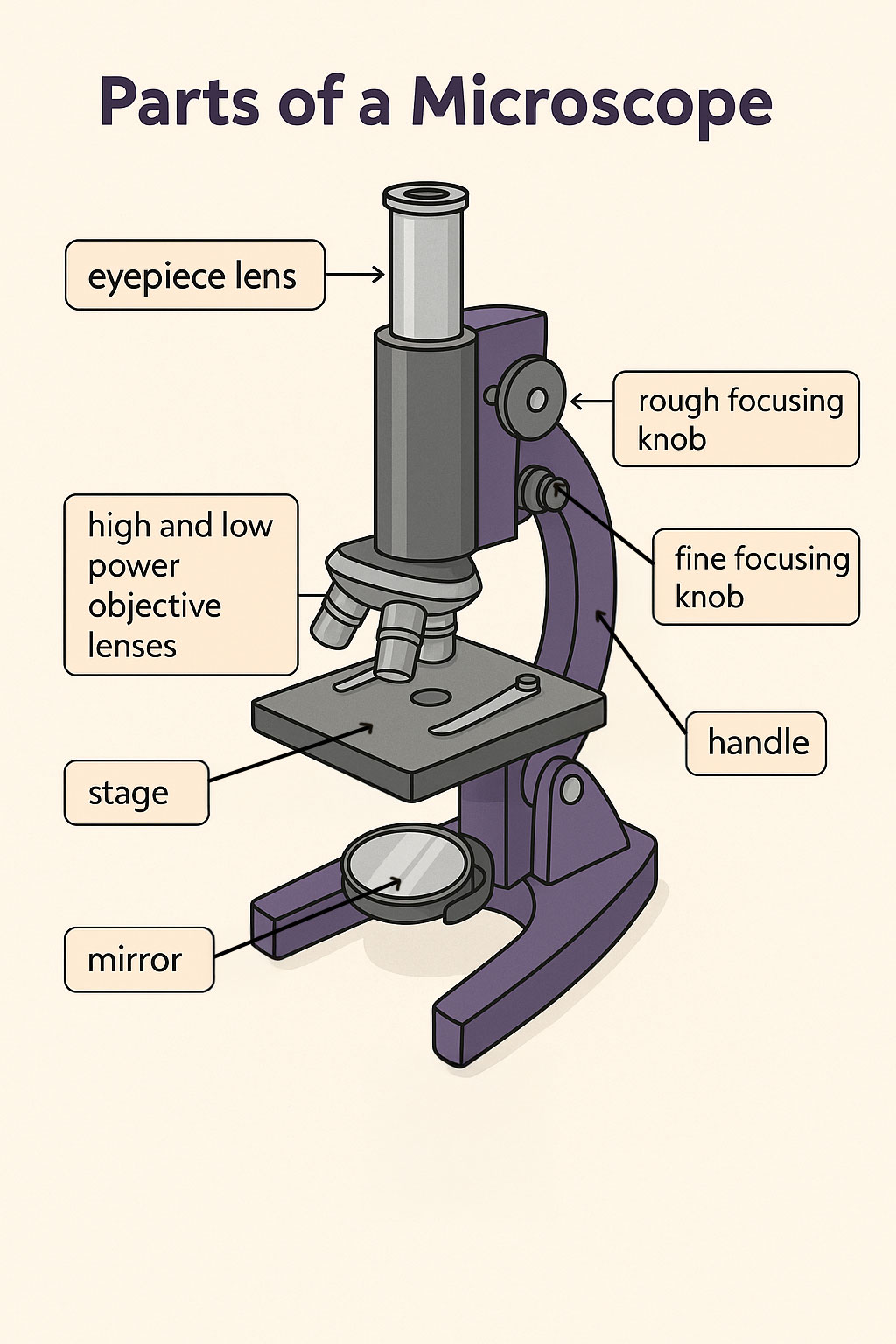 Microscope - Reach Crest Learning